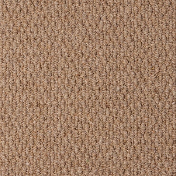 Malabar Two Fold - Sahara (Wool Loop) | Cormar Carpets